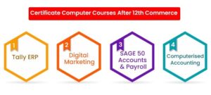 Best Computer Courses After 12th Commerce 2025 (Diploma, Degree and ...